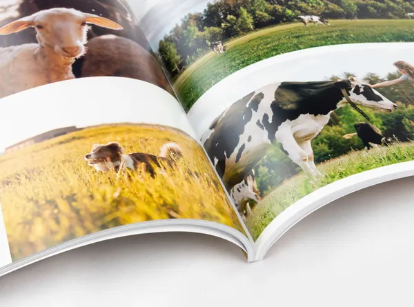 A4 Photo Book Deals | Soft Cover Landscape Photo Books UK | myphotobook